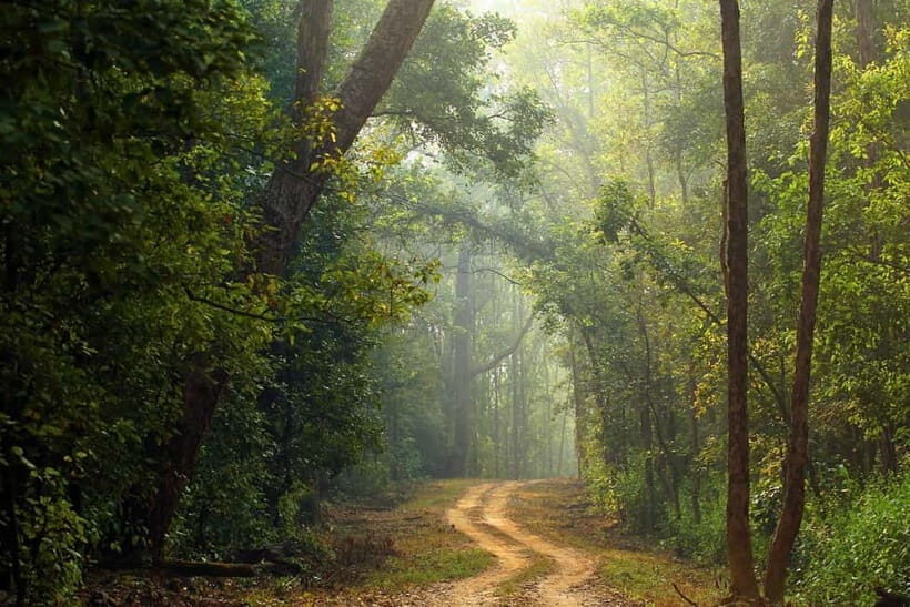 Canter Safari: Skip-the-line Entry Ranthambore Tiger Reserve - The Itinerary: What Does the Tour Cover?
