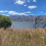 Canterbury Peaks to Plains Cycle Tour - What’s Included and Why It Matters