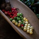 Cape Byron Aboriginal Tour - FAQs