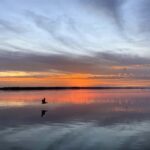 Cape Coral: Private Dolphin and Sunset Cruise - Authentic Reviews