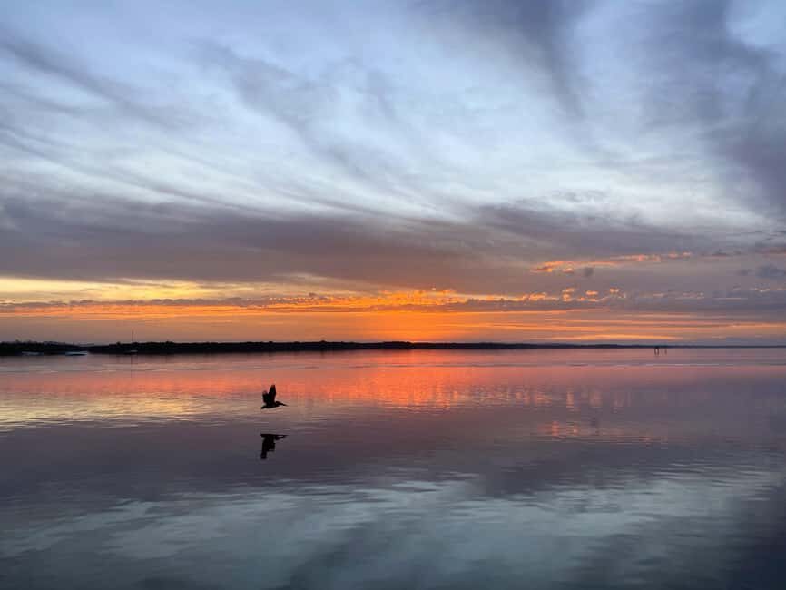 Cape Coral: Private Dolphin and Sunset Cruise - Authentic Reviews