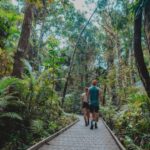 Cape Tribulation: Daintree Rainforest Night Walk Tour - Why The Value Adds Up