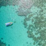 Cape Tribulation Ocean Safari - Great Barrier Reef Adventure - The Pros and Cons