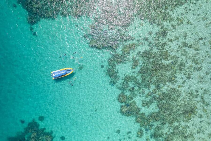 Cape Tribulation Ocean Safari - Great Barrier Reef Adventure - The Pros and Cons