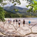 Cape Tribulation & Ziplining: Ultimate Daintree - The Nitpicks: What to Consider