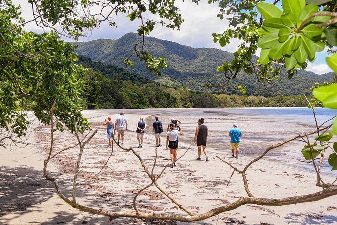 Cape Tribulation & Ziplining: Ultimate Daintree - The Nitpicks: What to Consider