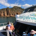 Cape Woolamai Sightseeing Cruise from San Remo - Practical Tips for Travelers