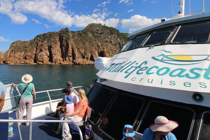 Cape Woolamai Sightseeing Cruise from San Remo - Practical Tips for Travelers