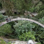 Capilano Br+Granville Isl+Capilano Hatchery+Lynn Canyon Tour - Why This Tour Offers Great Value