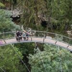 Capilano Suspension Bridge, Lynn Canyon & Capilano Hatchery Tour - In-Depth Look at the Itinerary