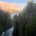 Capilano Suspension Bridge/Private/Small Group/By LUX CAR - Logistical Details and Practical Considerations