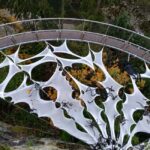 Capilano Suspension Br+Lake+Dam+Hachery/4in1/CAR/Small GROUP - Who Will Appreciate This Tour?