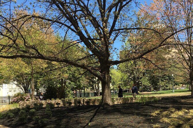 Capitol Steps and Stories Walking Tour - The Experience in Detail: Breaking Down the Itinerary