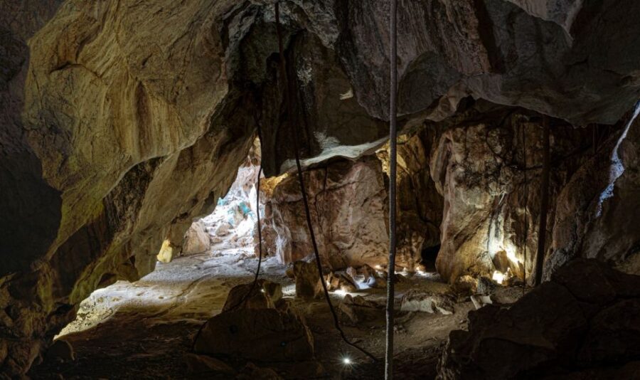 Capricorn Caves, Australia: 45-Minute Cathedral Cave Tour - The Value of the Experience