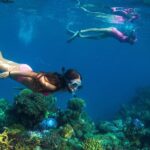 Capt Cook Cruises Super Saver Combo: Day Sail + Dinner Cruise - Analyzing the Value