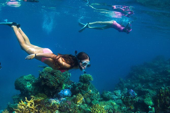 Capt Cook Cruises Super Saver Combo: Day Sail + Dinner Cruise - Analyzing the Value