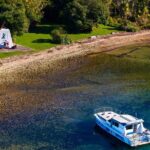 Captain Cook and Dolphin Cruise - Who Is This Tour Best For?