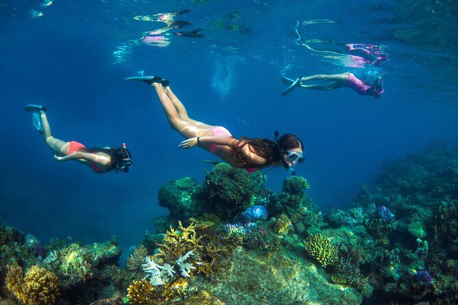 Captain Cook Cruises Fiji - Island and Reef Day Cruise - Lunch and Drinks