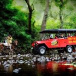 Car Transfers In Fiji - What Exactly Do You Get?