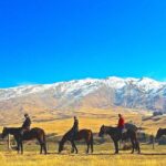 Cardrona High Country Pub Trail Horse Riding Trek (Intermediate+) - The Trail Itinerary: From Mountains to Historic Pubs