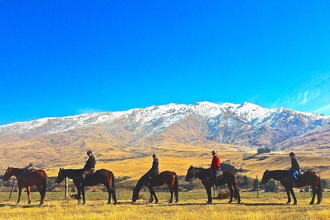 Cardrona High Country Pub Trail Horse Riding Trek (Intermediate+) - The Trail Itinerary: From Mountains to Historic Pubs