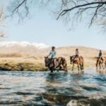 Cardrona Valley: Horse Trekking Experience - The Horses and Their Horsanality