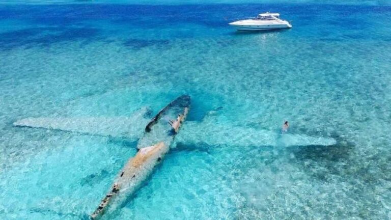 Cartagena: 5 ISLANDS by speedboat with SNORKELING & LUNCH - Who’s This Tour For?