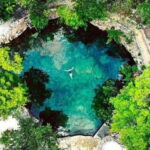 Casa Tortuga Park: Cenote Tour - What to Expect on the Tour