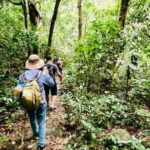 Cat Ba National Park Day Tour - Hiking, Cycling, Kayaking - A Detailed Look at the Cat Ba National Park Day Tour