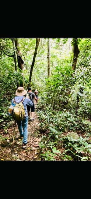 Cat Ba National Park Day Tour - Hiking, Cycling, Kayaking - A Detailed Look at the Cat Ba National Park Day Tour