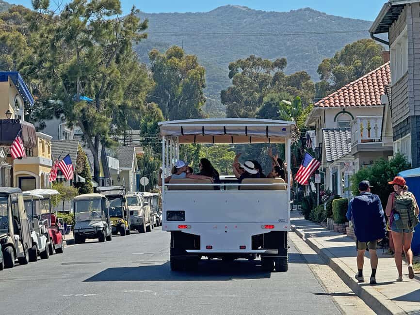 Catalina Island City & Scenic Mt. Ada Tour - What It Feels Like to Experience This Tour