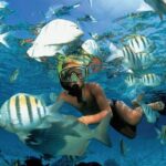 Catamaran adventure to Isla Mujeres with Snorkel,Buffet,Open Bar and Beach Club - The Actual Experience & Practical Details