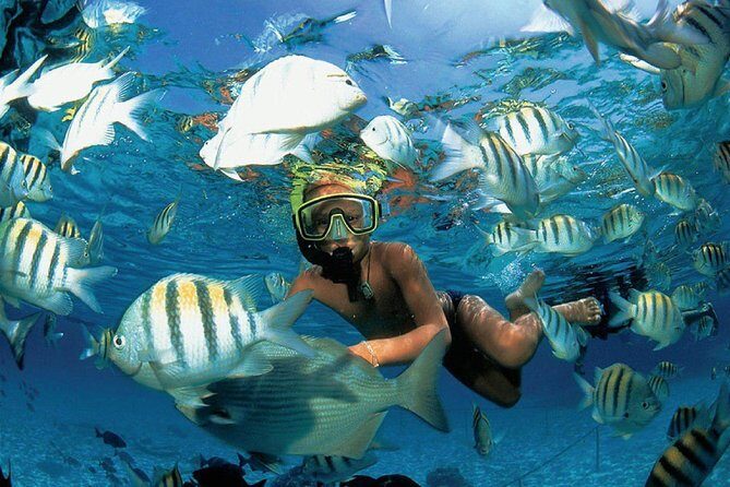 Catamaran adventure to Isla Mujeres with Snorkel,Buffet,Open Bar and Beach Club - The Actual Experience & Practical Details