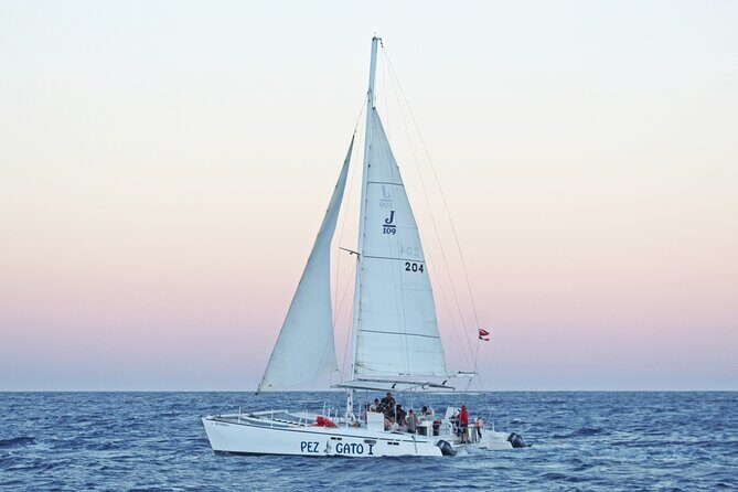 Catamaran Snorkel at Los Cabos! Gorgeous Snorkel & Party + Round Transportation - Why This Tour Is a Great Choice