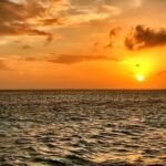 Catamaran to Isla Mujeres at sunset pick up Cancun - Practical Tips for Enjoying the Tour
