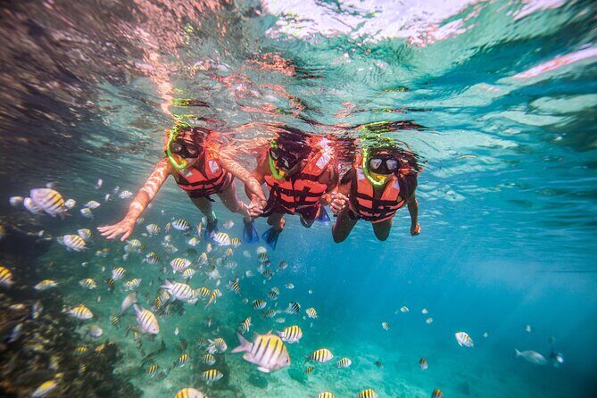 CATAMARAN to Isla Mujeres, Snorkel & Beach Club by Xcaret - What’s Included and What’s Not