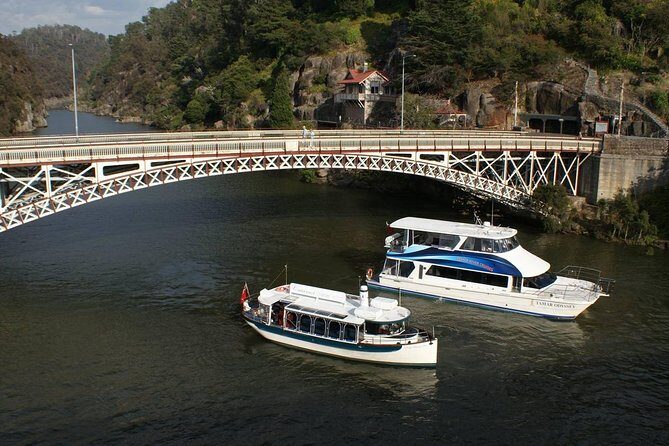 Cataract Gorge Cruise 3:30 pm - Who Should Take This Tour?