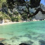 Cathedral Cove Day Trip from Auckland - The Value of a Guided, All-Inclusive Experience