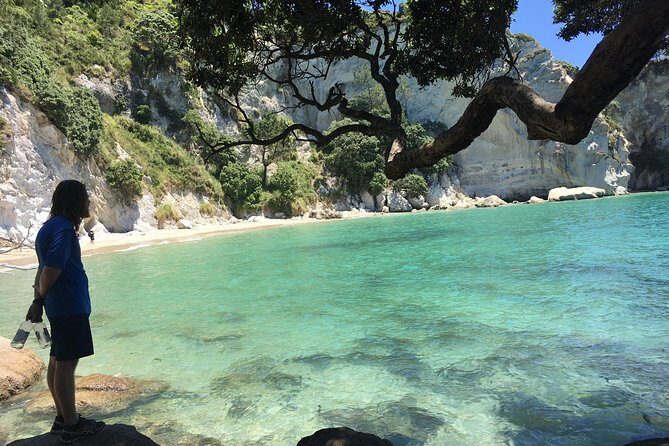 Cathedral Cove Day Trip from Auckland - The Value of a Guided, All-Inclusive Experience