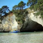 CATHEDRAL COVE & HOT WATER BEACH Day Tour from Auckland - A Deep Dive into the Tour Experience