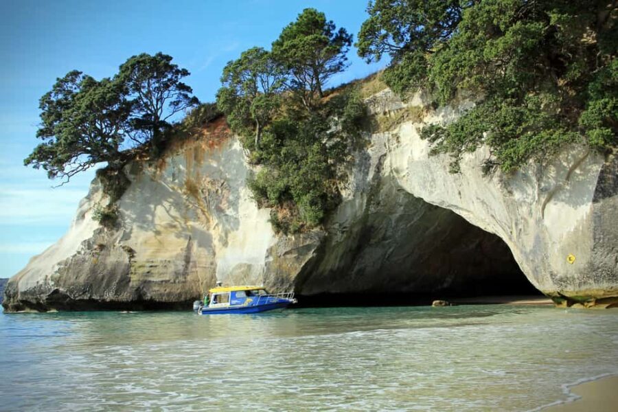 CATHEDRAL COVE & HOT WATER BEACH Day Tour from Auckland - A Deep Dive into the Tour Experience