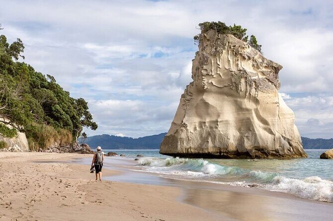 Cathedral Cove & Hot water beach -Full Day Tour: PRIVATE TOUR - Hot Water Beach — A Geothermal Wonder