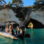 Cathedral Cove Marine Reserve - Specialised Boat Snorkeling - Considering the Experience