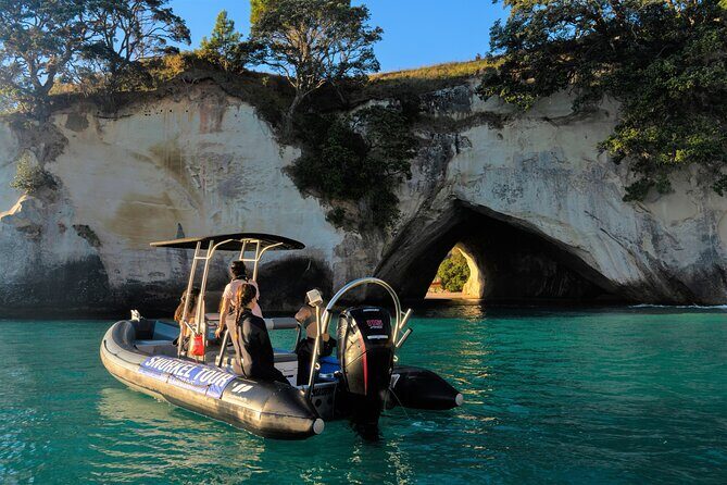 Cathedral Cove Marine Reserve - Specialised Boat Snorkeling - Considering the Experience