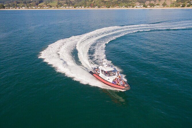 Cathedral Cove Scenic Cruises Whitianga - What’s Included and What You’ll Experience