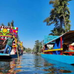 CDMX: Trajinera Party with Drinks, Music, and Tacos. - Who Should Consider This Tour?