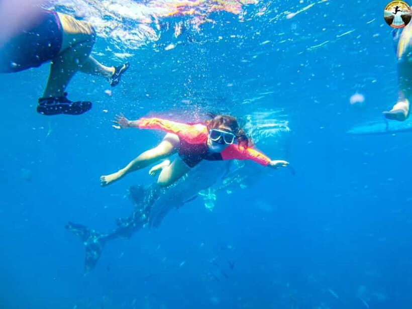 Cebu: 2-Day Island-Hopping, Canyoneering, and Whale Shark - Whats Included and Whats Not