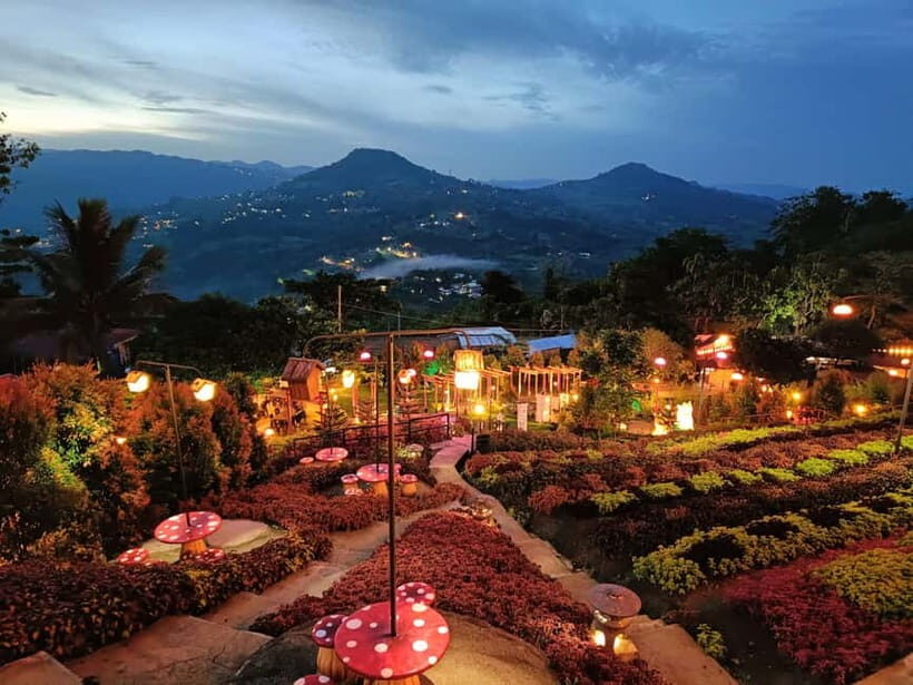 Cebu: 4 Days and 3 Nights Cebu Tour Package - Practicalities and What to Expect