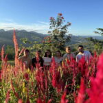 Cebu: City Highlights with Sirao Flower Garden Visit - Detailed Breakdown of the Itinerary