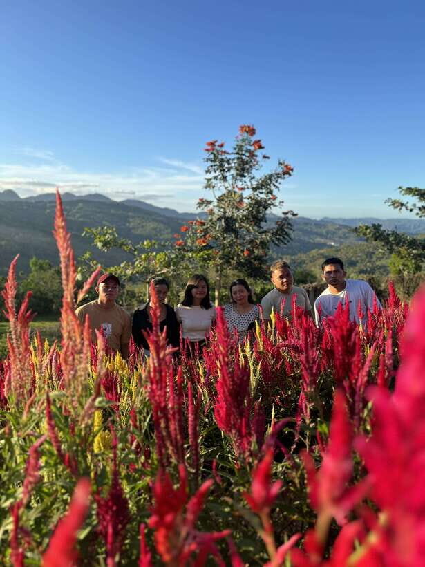 Cebu: City Highlights with Sirao Flower Garden Visit - Detailed Breakdown of the Itinerary